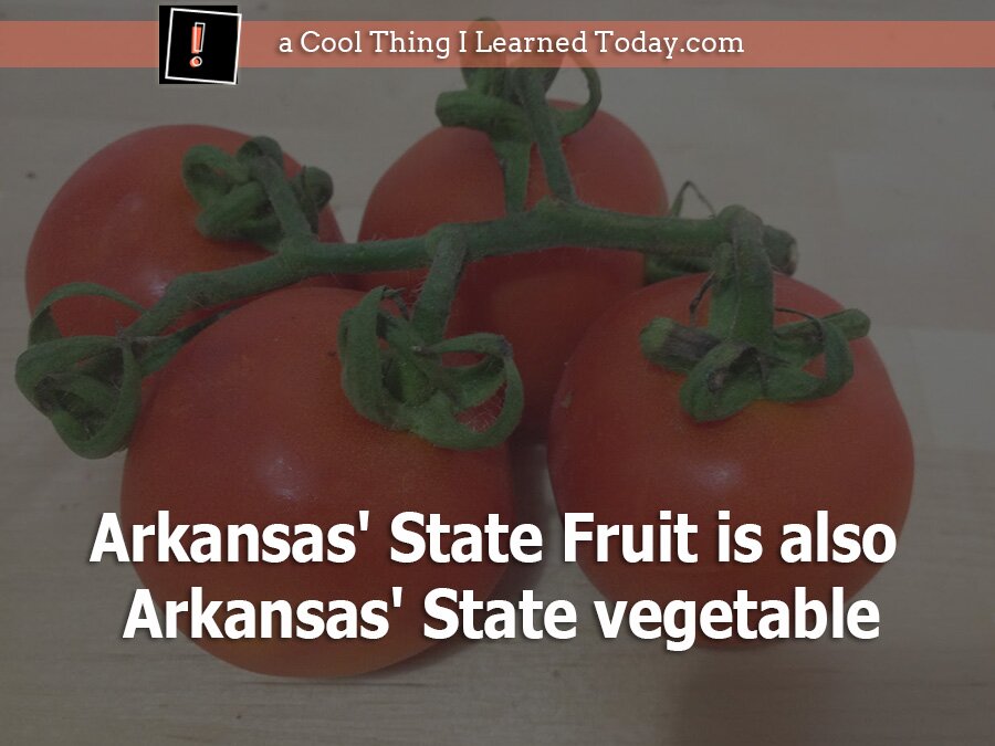 What is Arkansas’ State Fruit? – a cool thing I learned today
